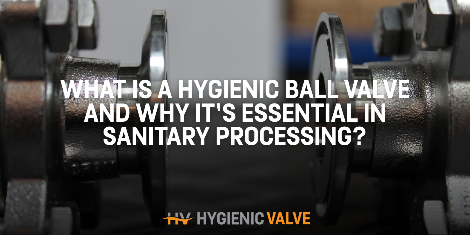 What Is a Hygienic Ball Valve and Why It’s Essential in Sanitary Proce ...
